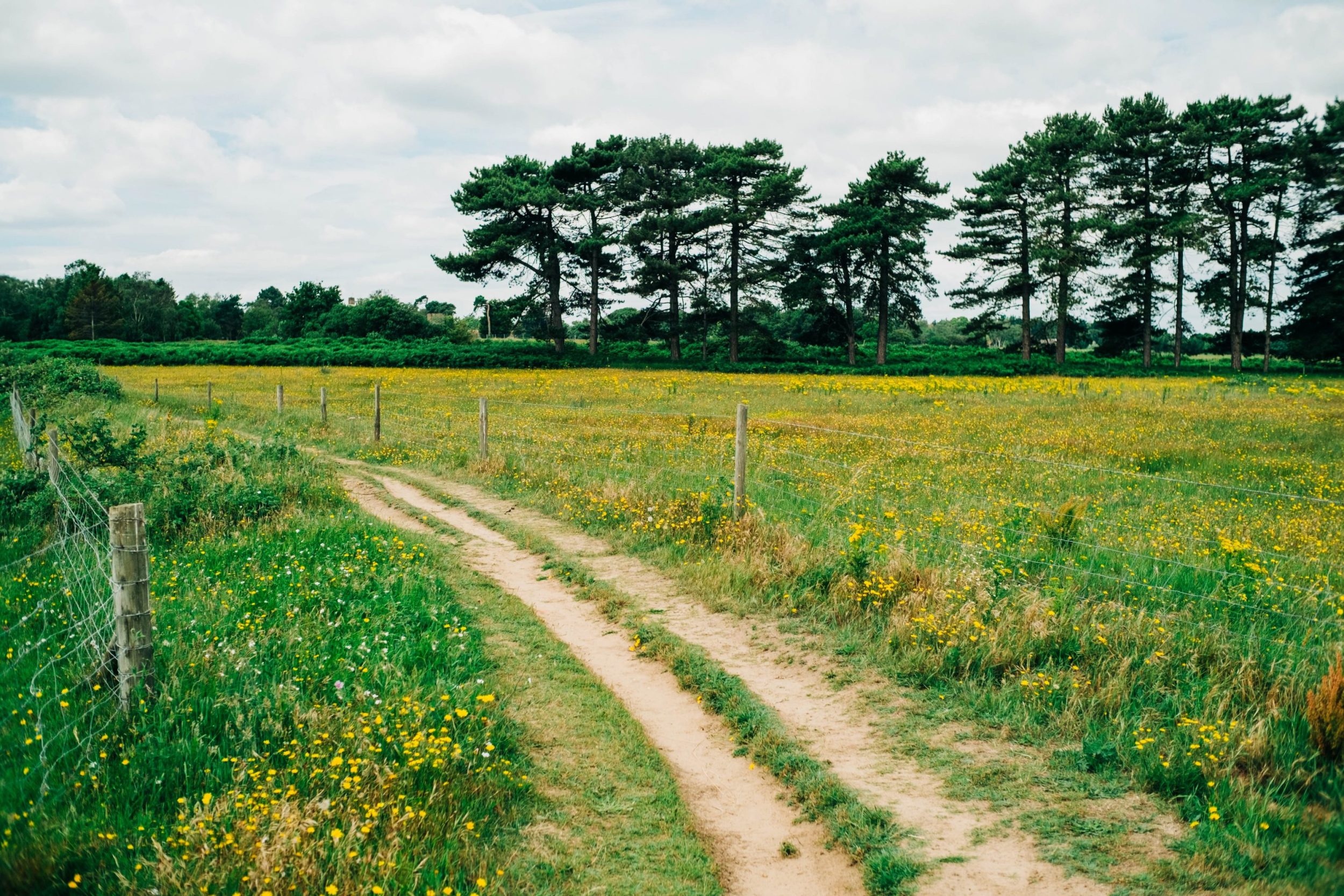 Faringdon Walking and Cycling Guide | Cotswold Guide | Bolthole Retreats